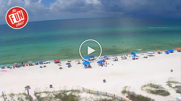 St George Island | Live Saint George Island Webcam