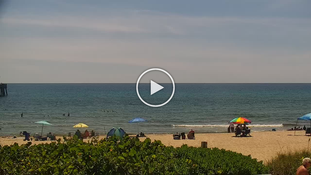 Venice Fishing Pier | Venice Webcam | Live Florida Beach Cams