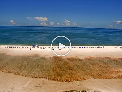 Live Web Cam Fort Myers Beach — Florida Beach Webcams